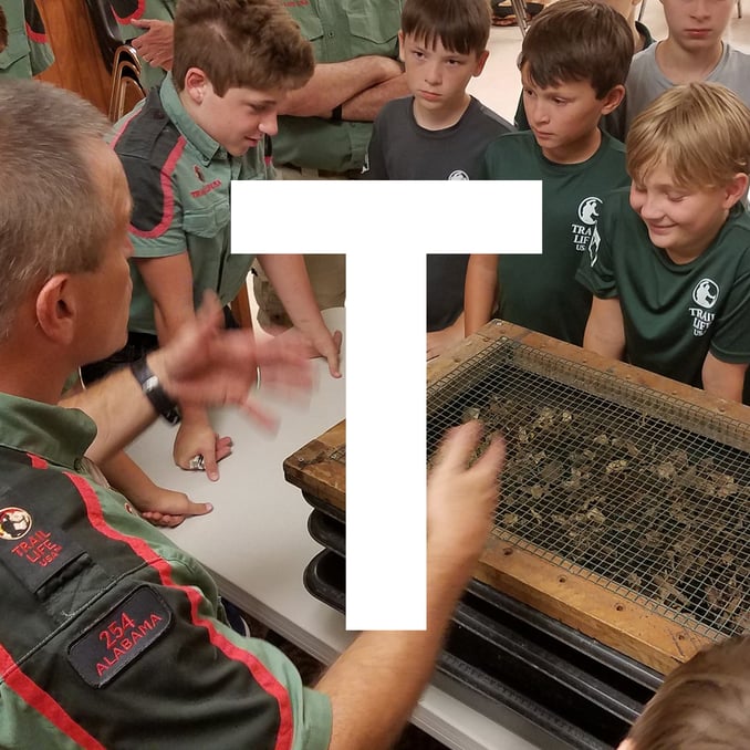 The "TEAM" Method: the power of teaching teamwork skills