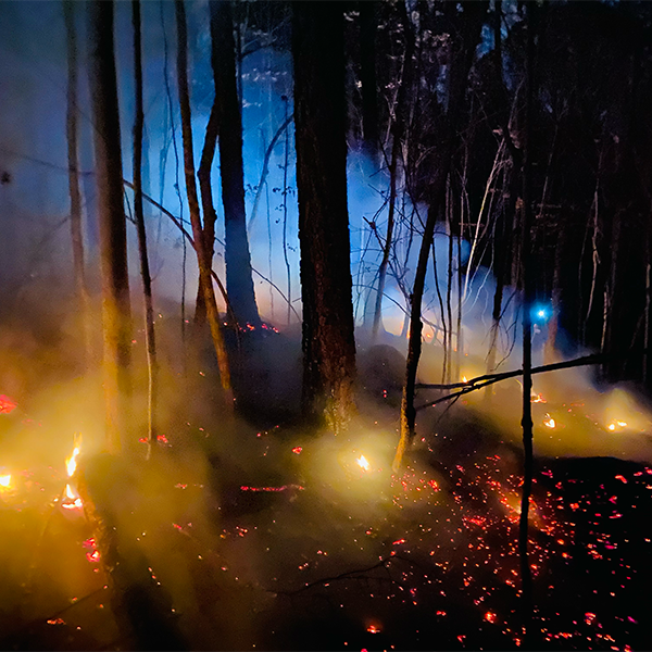 Trail Life USA Troop Puts Out Forest Fire